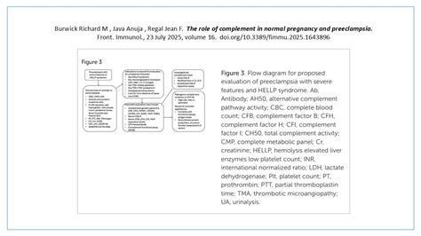 Ahus Comprehensive Overview The Role Of Complement In Normal Pregnancy And Preeclampsia