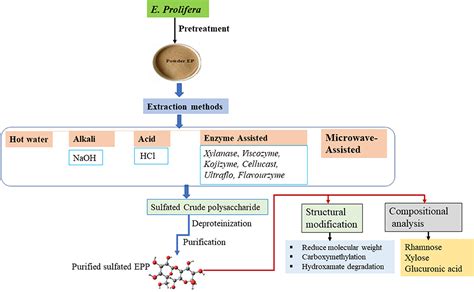 Flow Chart Of Extraction And Isolation Of Compounds From D Indica
