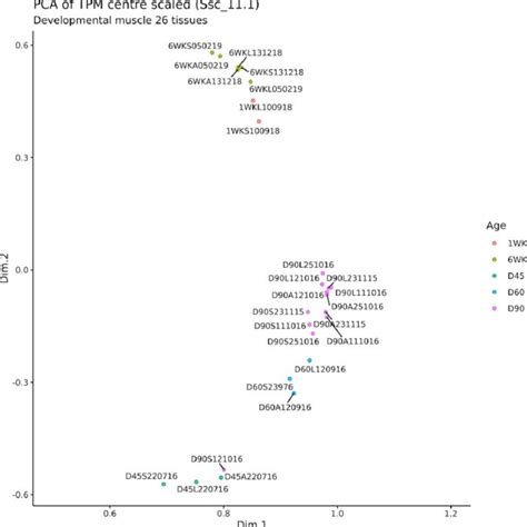 Principal Component Analysis Pca Of Gene Expression Estimates As Download Scientific Diagram