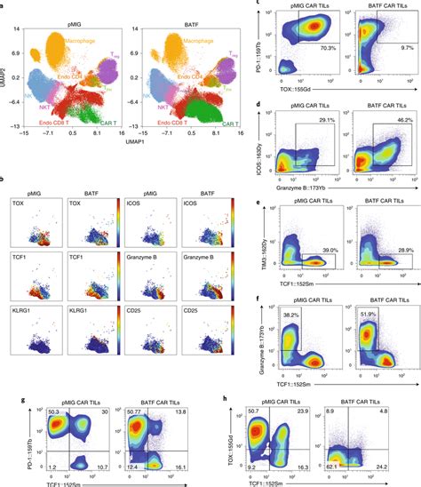 High Dimensional Single Cell Characterization Of Pmig And Download Scientific Diagram
