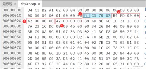 Pcap文件详解pcap 大小端 Csdn博客
