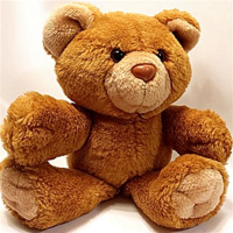 David William Wainwright Jr