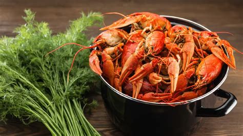 مجموعه 35 تصویر پس زمینه با کیفیت برای ویندوز و لینوکس و مک