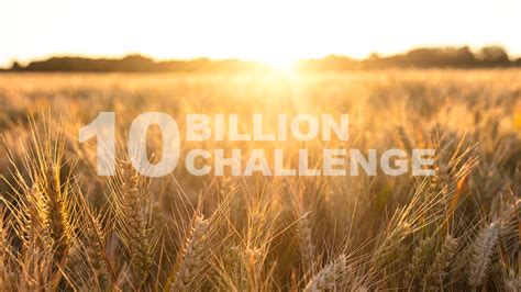 Can Nordic Innovations Help Solve The Challenge Of Feeding 10 Billion