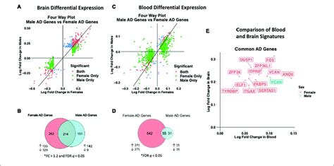 Cross Tissue Sex Specific Differential Gene Expression A Four Way Download Scientific