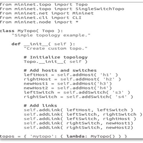 Script En Python De Topología Personalizada Download Scientific Diagram