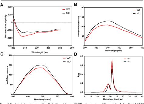 Figure 3 From A Novel Truncation Mutation In Crybb1 Associated With