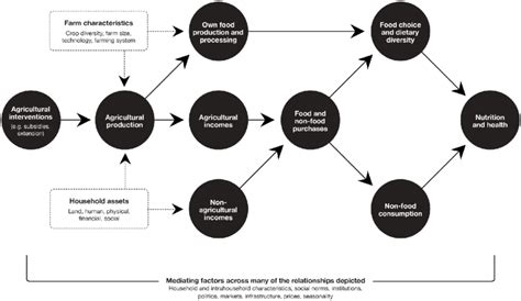 Conceptual Framework Linking Agriculture Food Purchases And Dietary