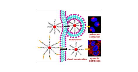 Direct Membrane Penetration And Cytosolic Delivery Of Nanoparticles Via Electrostatically Bound