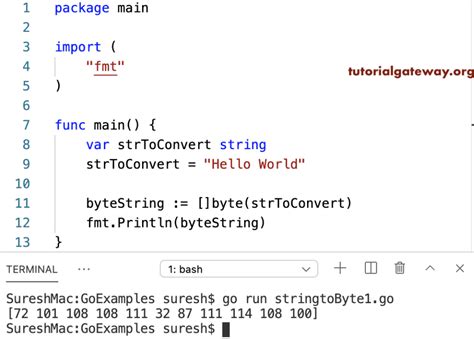 Golang String To Byte Array