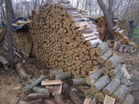 A Beefy Rack For My Black Locust Stack Firewood Hoarders Club