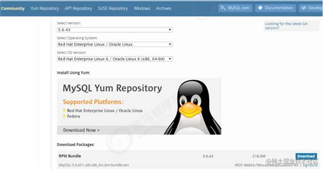 Mysql Advanced Review The Basics And Index Primitives Moment For