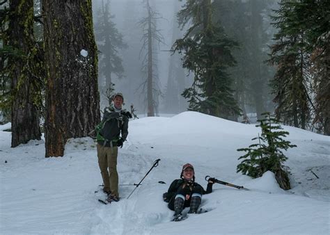 Snowshoeing Yosemite National Park At Thomas Gabaldon Blog