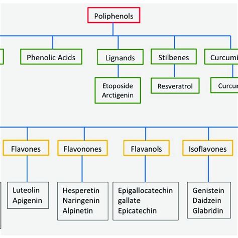 classification of polyphenols and flavonoids examples of each subgroup