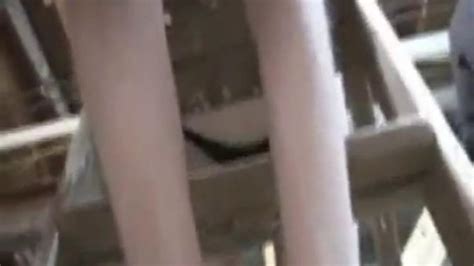 Liz Vicious Basementbondagepart2 Liz Vicious Lizvicious Porn Videos