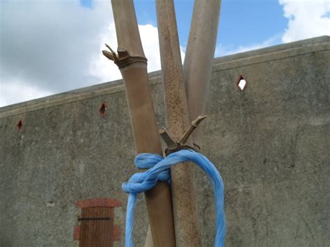 Jumbly Gardening How Not To Build A Wigwam
