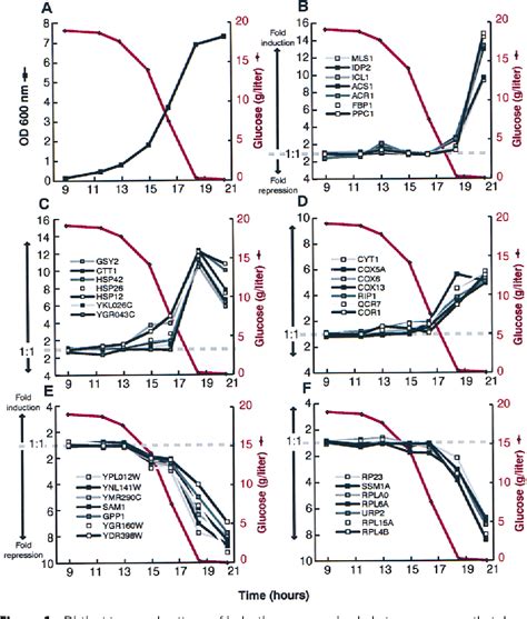 figure 1 from large scale gene expression data analysis a new