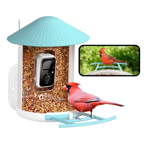 Netvue By Birdfy Smart Bird Feeder With Camera Bird Watching Camera