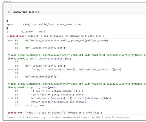 Indexerror Index 3 Is Out Of Bounds For Dimension 0 With Size 3 · Issue 263 · Fastaifastbook