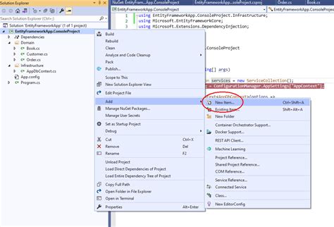 how to use configuration in a c console project software particles