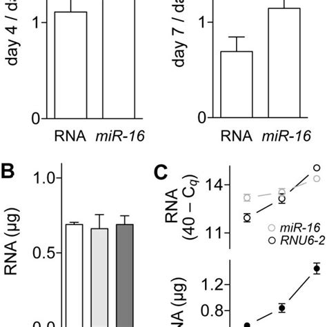 Effect Of Histologic Stain And Rna Binding Matrix In Spin Columns On