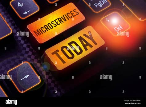 Text Caption Presenting Microservices Concept Meaning Software Development Technique Building