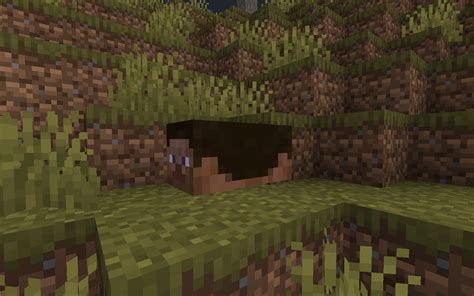 I Broke Minecraft Its Not Debug Stick Rminecraft