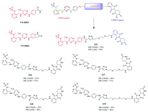 Compound 115 As A Proteolytic Targeting Chimera Of Focal Adhesion