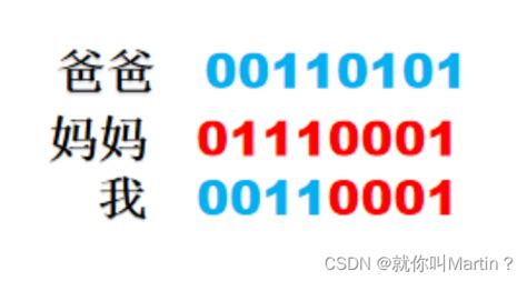 实验二：群智能算法，第2关：遗传算法 函数最优解计算 遗传算法求最优解 csdn博客