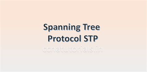 Spanning Tree Protocol STP Explained For Beginners CCNA TUTORIALS