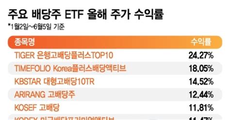 배당주 많이 올랐는데 지금이라도배당성장·中고배당 주목