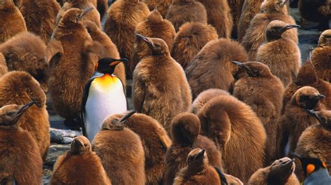 How To Customize The Linux Bash Prompt And Why You Should
