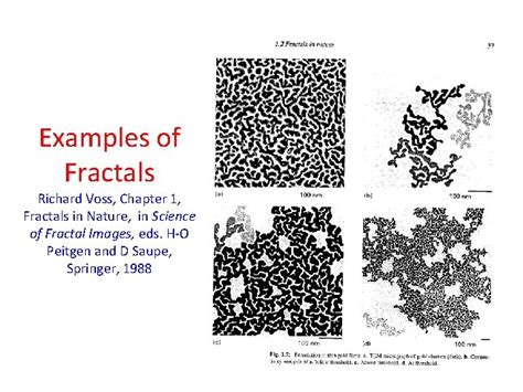 Lecture 15 Fractals Scaling And The Hurst Exponent