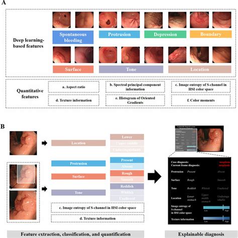 The Performance Of Machine Learning Ml Models And The Weights Of The
