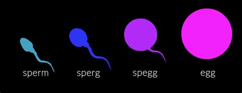 Dont Take Pride In Promoting Pseudoscience — Queer Majority