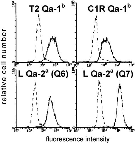 Qa Expression By Transfected Cells Flow Cytometry Showed High Download Scientific Diagram