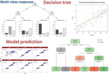 Decision Trees Random Forest CART Modeling And Prediction In R For Freelancer Md Juwel