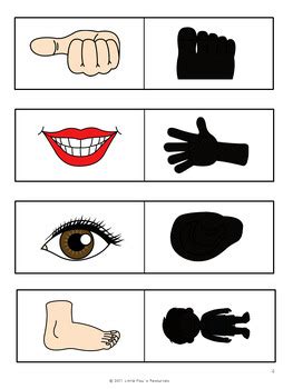 Body Parts Shadow Matching By Babe Paws Resources TPT
