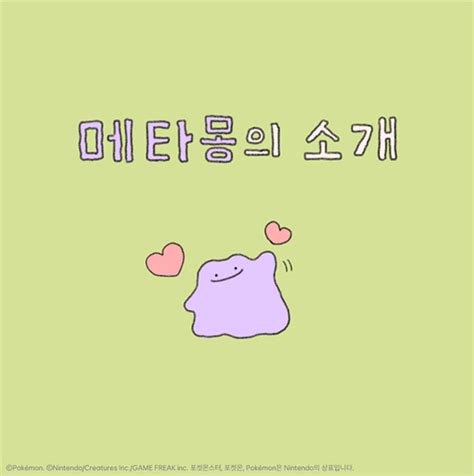 포켓몬코리아 메타몽 매력 알리는 메타몽 프로젝트 공개 보드나라