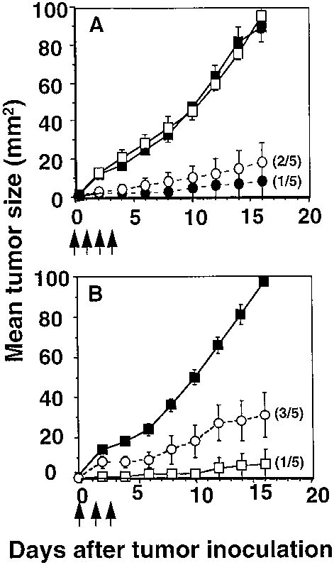 Correlation Between Timing And Number Of T Cells Transferred And