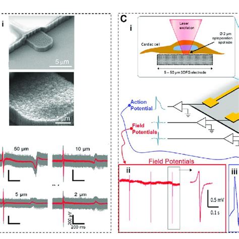 Silicon Nanowire Templated Out Of Plane Synthesized Three Dimensional