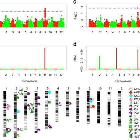 Pdf A Simulation Based Breeding Design That Uses Whole Genome Prediction In Tomato