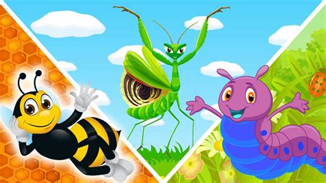 НАСЕКОМЫЕ для детей Изучаем насекомых Youtube