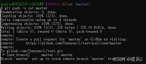 Git使用教程git Bash（ssh版）github远程仓库连接git Bash连接服务器 Csdn博客