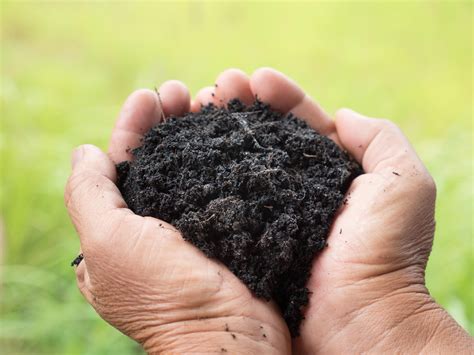 All Nutrients Are Important