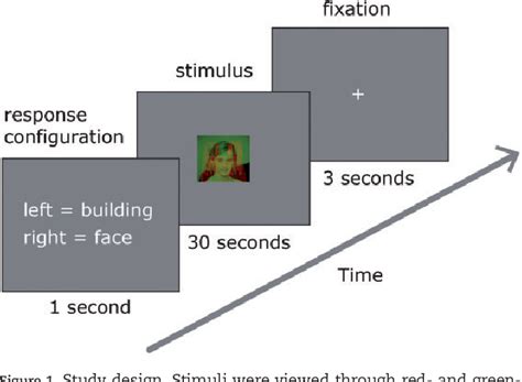 Figure 1 From The Spatiotemporal Dynamics Of Binocular Rivalry Evidence For Increased Top Down