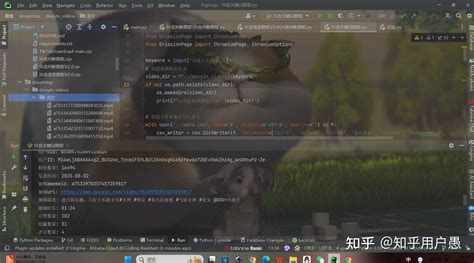 Python抖音关键词视频爬取实战:批量下载与分析热门视频数据 知乎 Python抖音关键词视频爬取实战:批量下载与分析热门视频数据 知乎