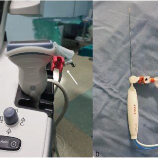 A 6 15 MHz ML 6 15 Linear Probe GE Healthcare USA With Needle Guide Download Scientific