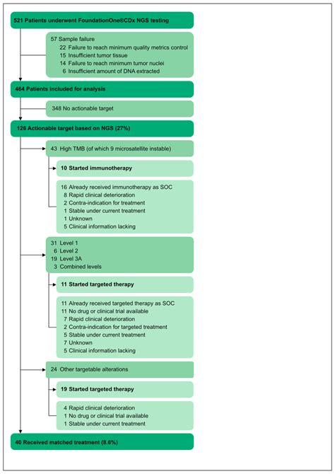 Study Flow Chart DNA Deoxyribonucleic Acid NGS Next Generation Download Scientific Diagram