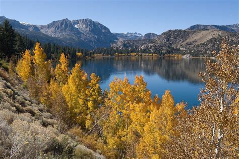 Take This Stunning Northern California Fall Road Trip June Lake Loop